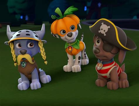 Пин от пользователя Rodrigo Orbieta на доске Paw Patrol
