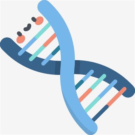 Gene Cliparts Illustrating The Science Of Genetics Clip Art Library
