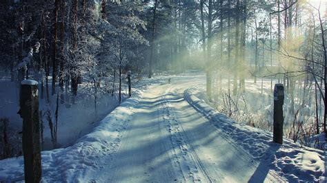 Bakgrundsbilder solljus träd landskap skog natur reflexion snö
