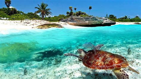 Cinco lugares paradisíacos en México para relajarse El Carabobeño