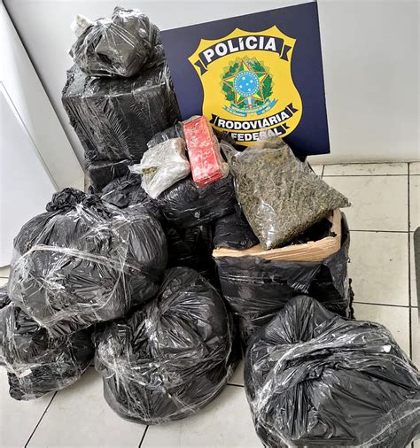 IMAGENS Quase 190 kg de drogas é encontrado em carro na BR 101