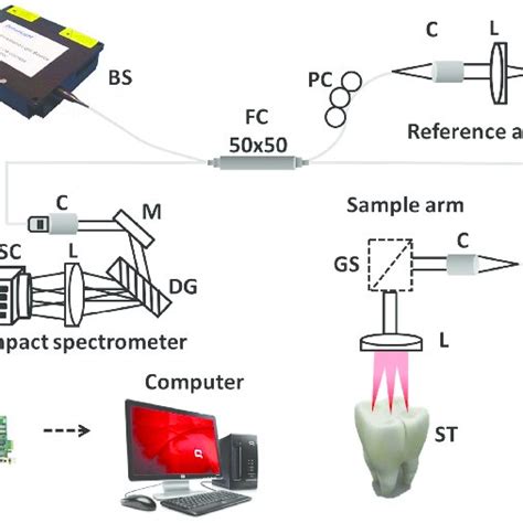 Schematic Diagram Of The Spectral Domain Optical Coherence Tomography