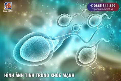 Hình ảnh tinh trùng yếu Khi nào cần lo ngại và cách khắc phục Nhấp để
