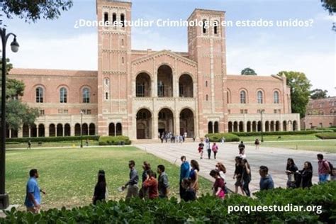 Descubre Los Requisitos Necesarios Para Ser Criminalista Aprende Lo