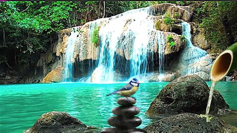 Waterfall Sound 4KHD Natural Waterfall Relaxing With Wildlife Bird