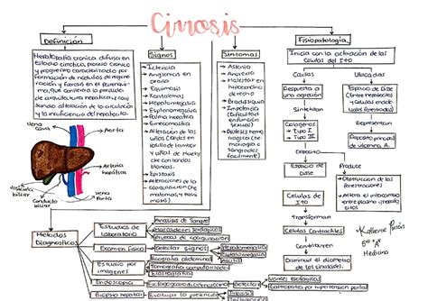 MAPA Conceptual Pancreatitis Aguda Y Cirrosis Cirrosis Definicion