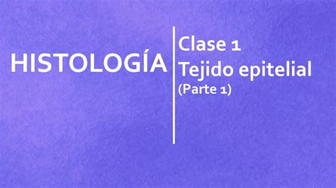 Histolog A Tp Tejido Epitelial Parte Youtube