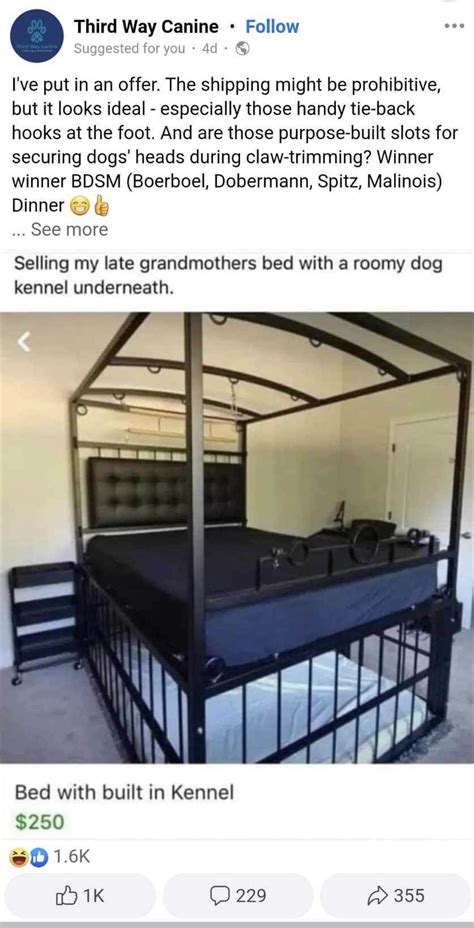 Petgirl Kako On Twitter Our Bed Making Its Rounds Again On Fb