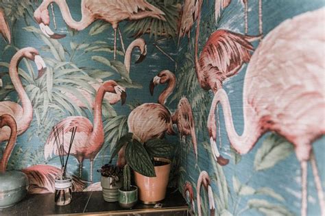 Toilet Make Over Met Het Arte Avalon Flamingo Behang Flamingo Behang