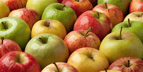 Los Mejores Tips Para Conservar Las Manzanas Frescas Y Deliciosas MUI