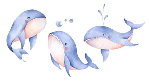 conjunto de baleia azul fofa arte animal subaquática ilustração em