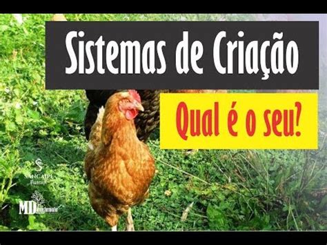 Sistemas de criação de galinhas caipiras e outras conheça agora YouTube