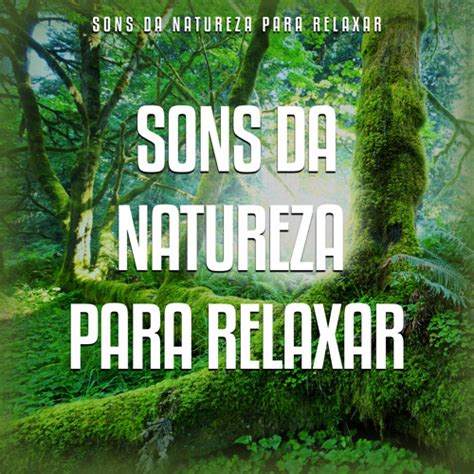 Stream Sons Da Natureza Listen To Sons Da Natureza Para Relaxar