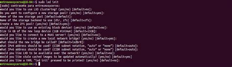 Conteneurs Lxd Installation Et Introduction Dans Ubuntu