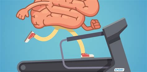 Brain Training 6 Ejercicios Para Entrenar Tu Mente