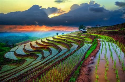 Qué ver y hacer en Tailandia Los imperdibles IATI Seguros