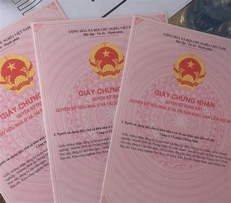Gi Y U Quy N L Y S M I N M
