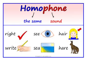 Homophones Homographs Ms Mason S 3rd Grade Raymore Elementary