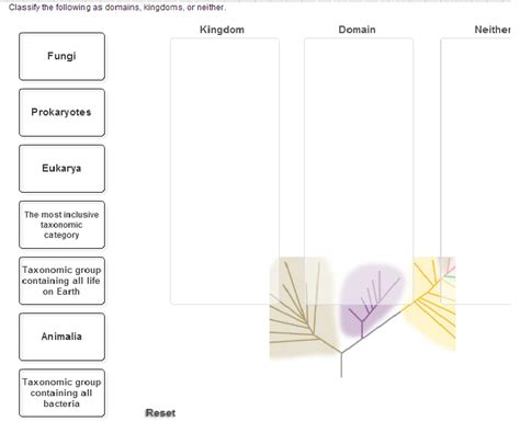 Solved Classify The Following As Domains Kingdoms Or Ne Chegg