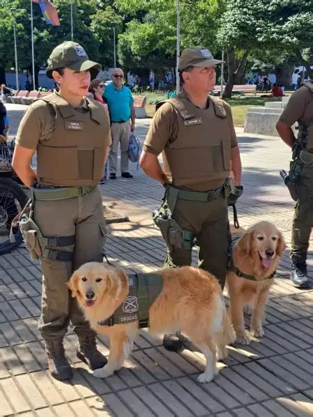 Con 48 detenidos termina ronda preventiva de Carabineros en la Región