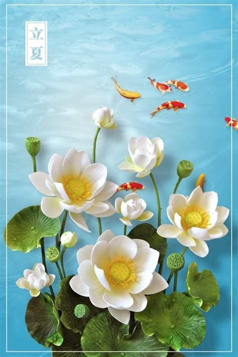 Bộ Sưu Tập Hình Nền Hoa Sen Trắng Tuyệt Đẹp Với Hơn 999 Tùy Chọn 4K