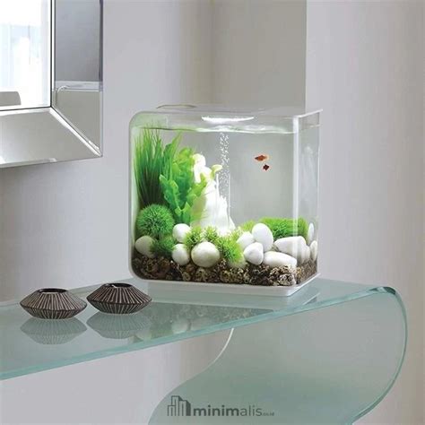 43 Aquarium Minimalis Penuh Warna Dan Keindahan Minimalist