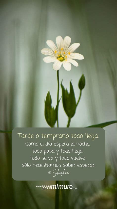 Tarde O Temprano Todo Llega Cosas Para Mi Muro