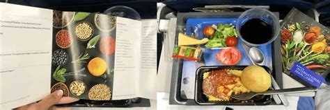 5 Travel Tips To Make Airplane Food Taste Good Cooking With Ruthie