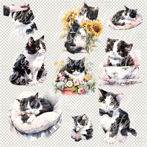 Watercolor Tuxedo Cat Clip Art Digital Png Cats Black And White Cats