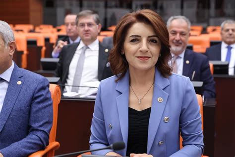 Gülcan Kış Kimdir Kaç Yaşında Nereli CHP Mersin 2 Sıra Milletvekili