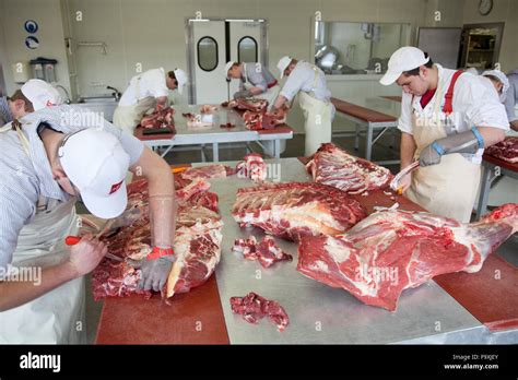 Abattoir bovins Banque de photographies et dimages à haute résolution