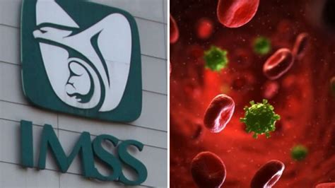 IMSS promueve prevención del VIH mediante tratamiento Profilaxis Pre