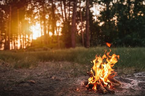 Premium Photo Evening Campfire In The Forest By The River Campsite In