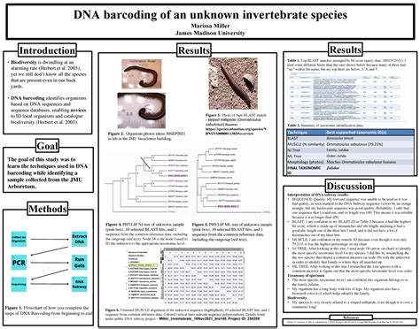 Barcoding Poster DNA Barcoding Of An Unknown Invertebrate Species