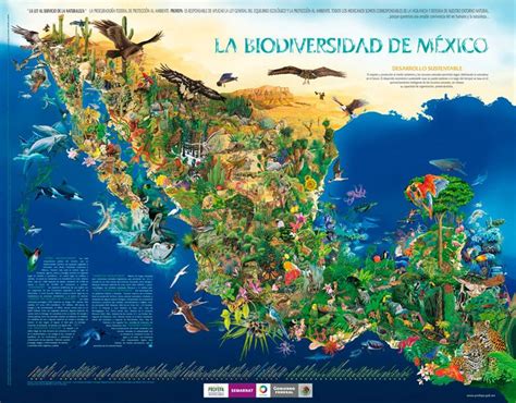 Mapa De La Biodiversidad De Mexico Baono