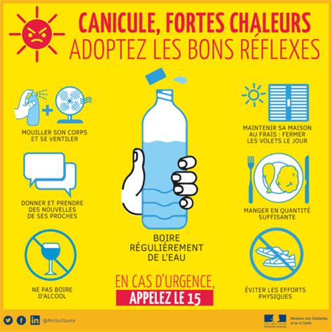 Canicule les bons réflexes à adopter CCDH