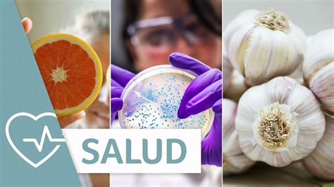 10 Alimentos Que Ayudan A Subir Las Defensas Salud Telemundo