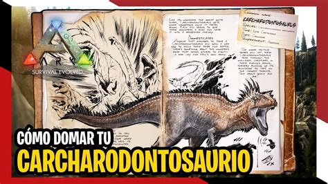 ARK Cómo domar tamear un CARCHARODONTOSAURIO 2022 YouTube