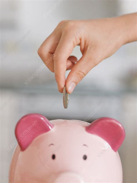 Boy Putting Coin Into Piggy Bank Stock Image F003 2682 Science