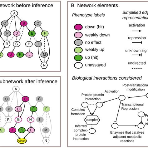 input and output for our subnetwork inference approach a the inputs download scientific