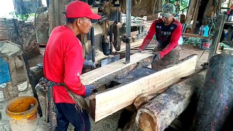 PENGGERGAJIAN KAYU AKASIA YouTube