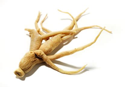 Ginseng Propriétés bienfaits et contre indications