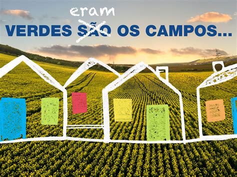 televisão assistir Torreense e Feirense ao vivo ver tv online