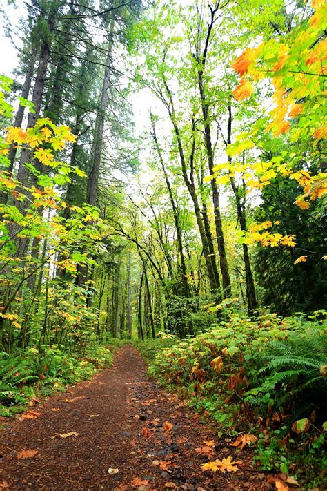 Autumn Falls Nude Dopcompare