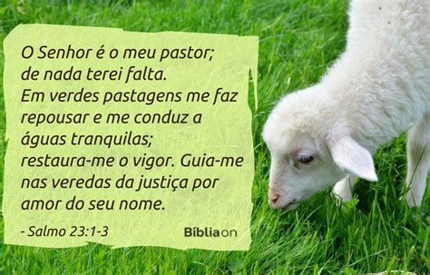 O Senhor Meu Pastor Estudo B Blico Do Salmo B Blia