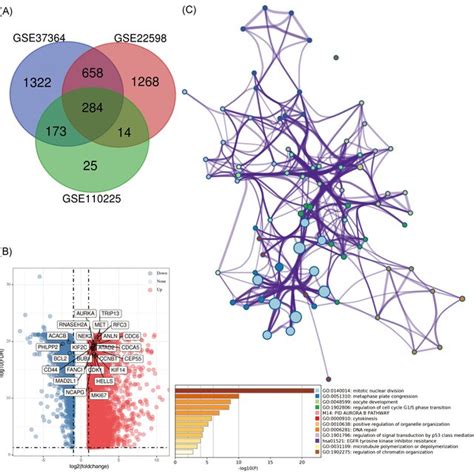 Screening Differential Expression Genes Degs And Enrichment Analysis