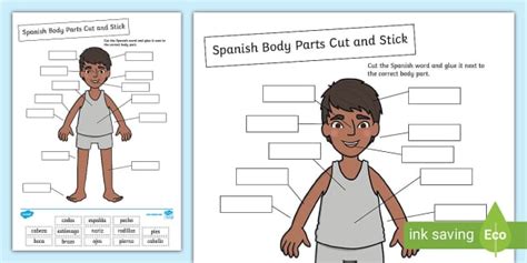 Spanish Body Parts Activity CfE First Level Twinkl Worksheets Library