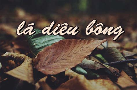 Tìm hiểu lá diêu bông là lá gì vậy và công dụng sử dụng trong y học