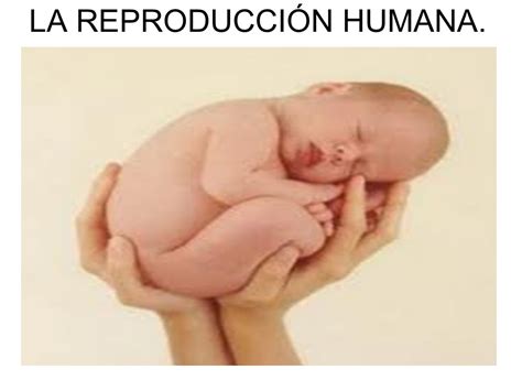 La Existencia Humana Mind Map