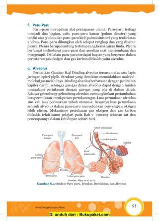 Ipa8 Kd9 Struktur Dan Fungsi Sistem Pernapasan Manusia PDF